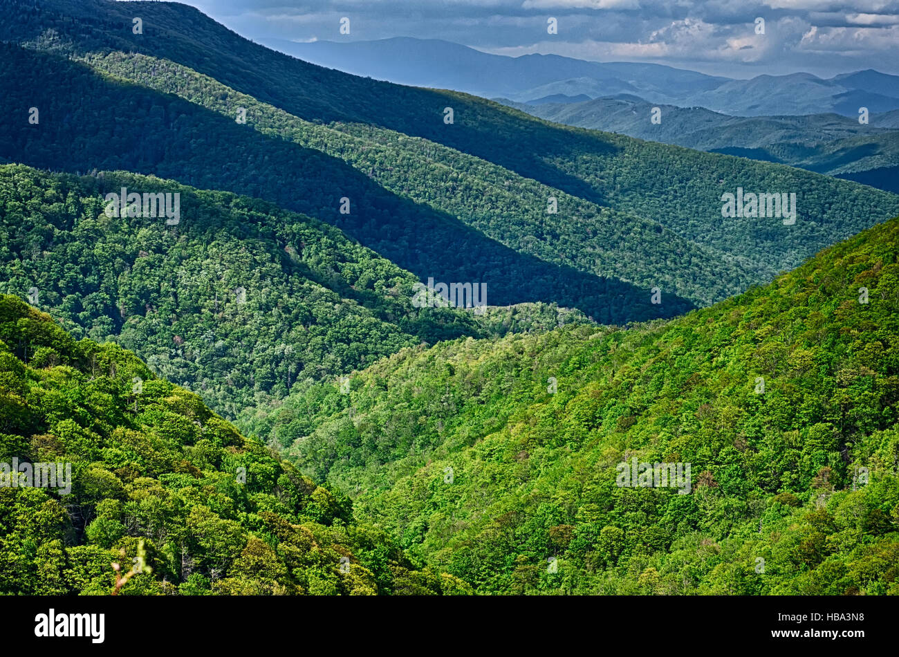 springtime in the blue ridge mountains Stock Photo - Alamy