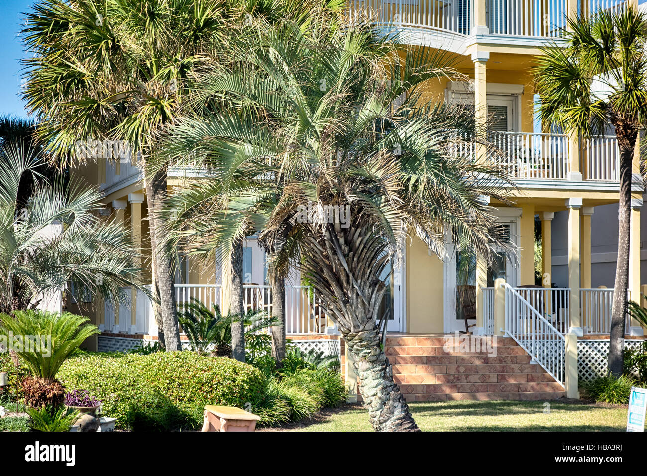 Palm trees colorful hotel hi-res stock photography and images - Alamy