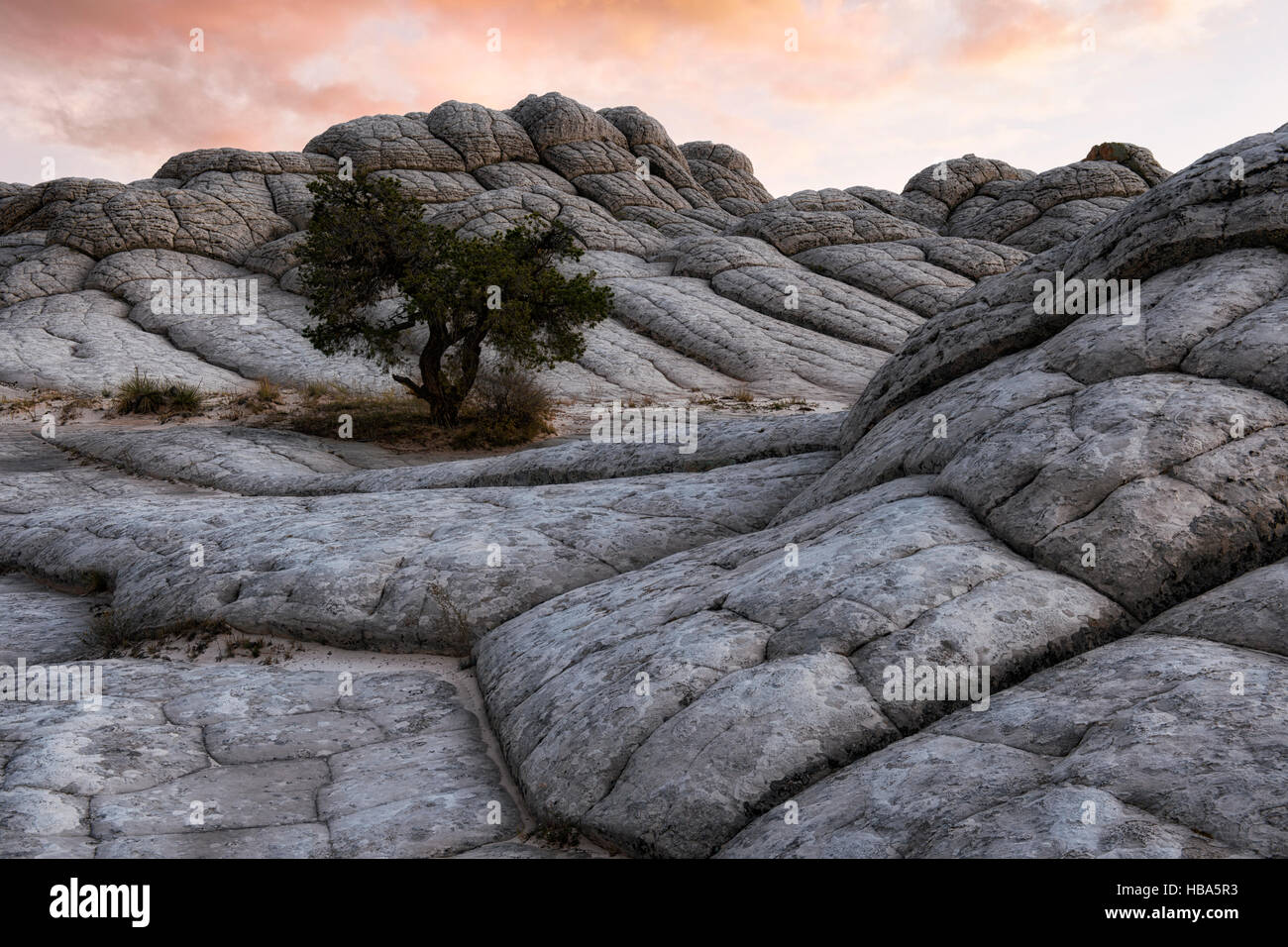Standing alone among the cross bedding brain rock in Arizona's remote ...