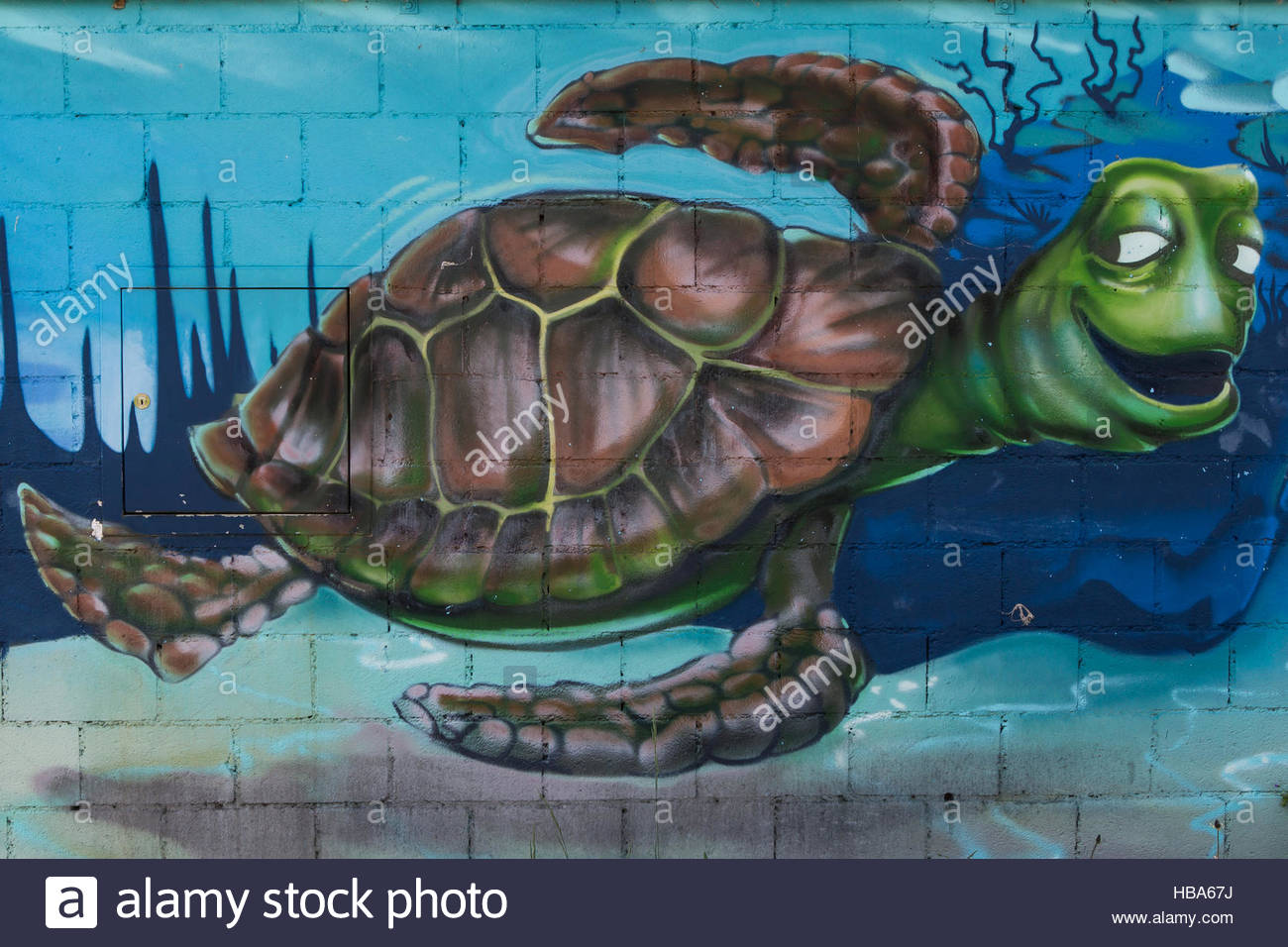 Turtle Graffiti High Resolution Stock Photography and Images - Alamy