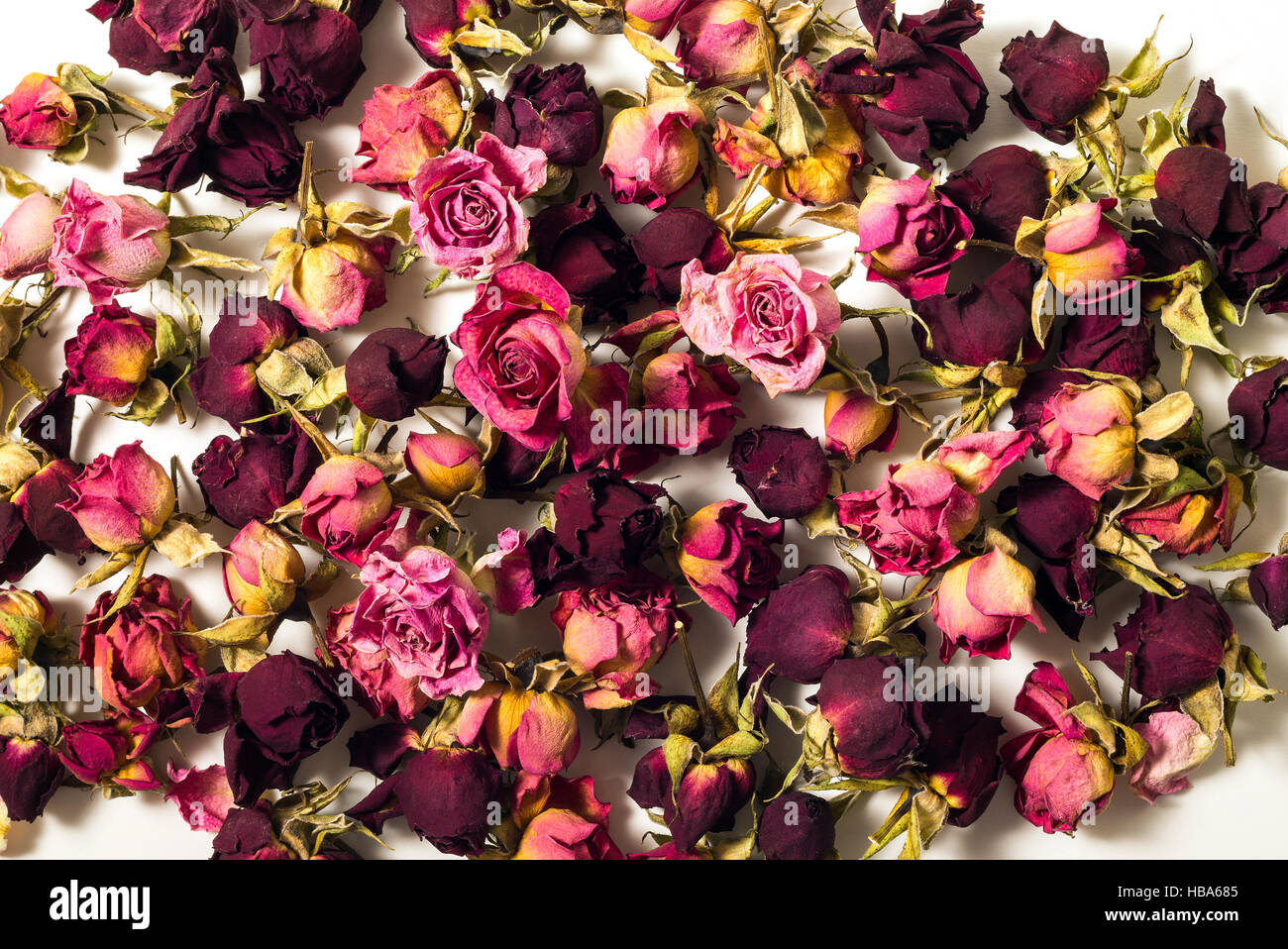 background of roses Stock Photo - Alamy