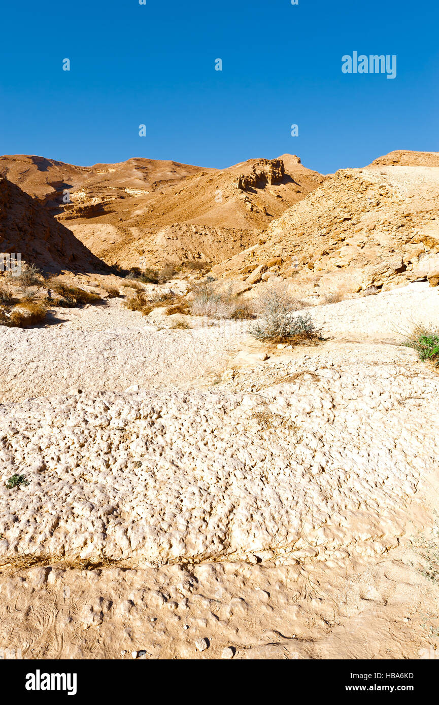 Desert negev hi-res stock photography and images - Alamy