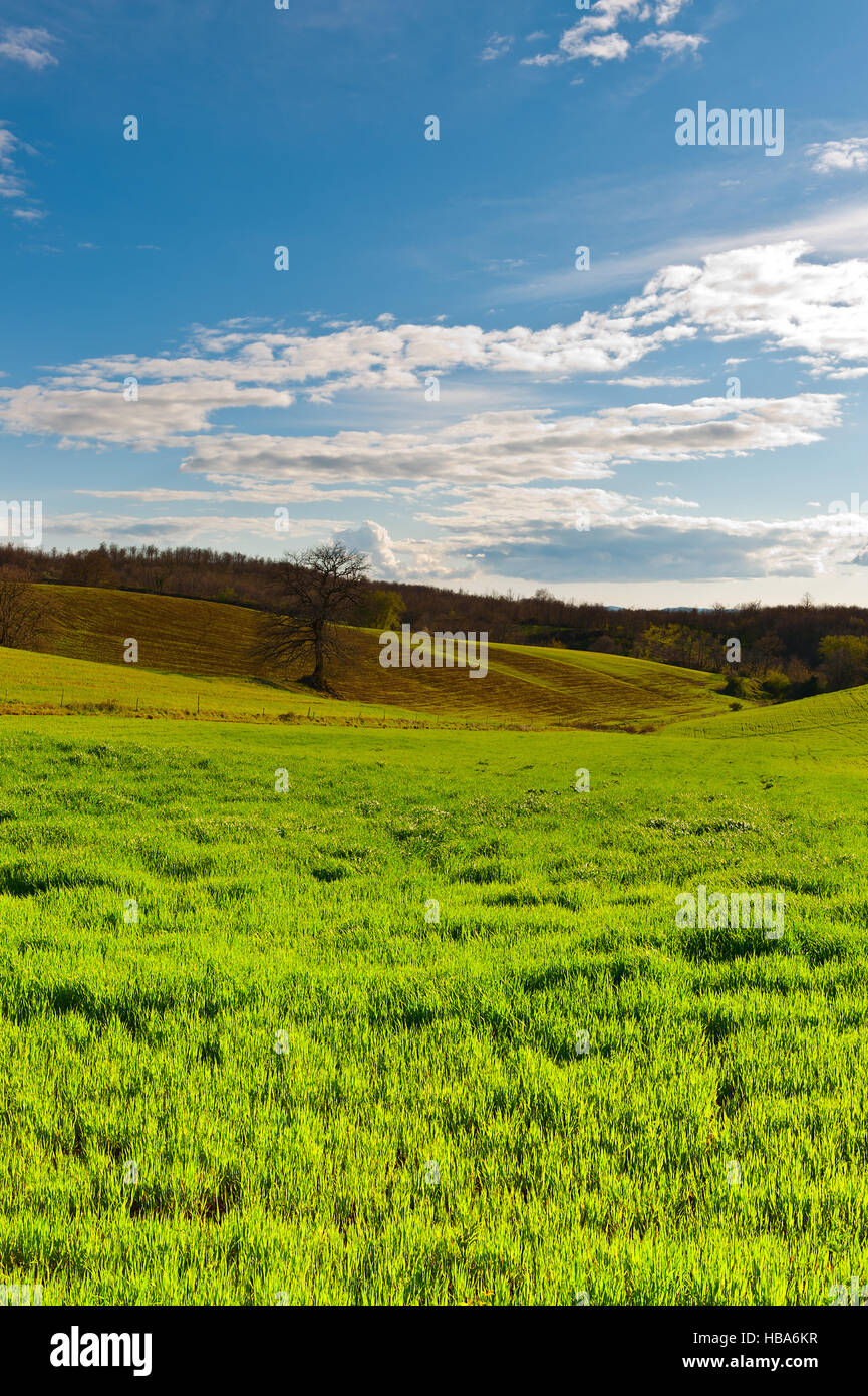 Meadows tuscany hi-res stock photography and images - Alamy