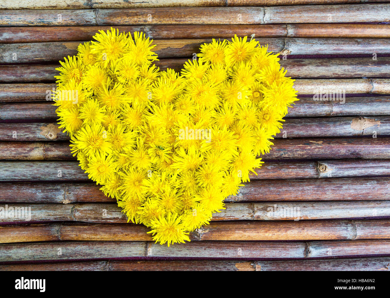 Heart of dandelion flowers hi-res stock photography and images - Alamy
