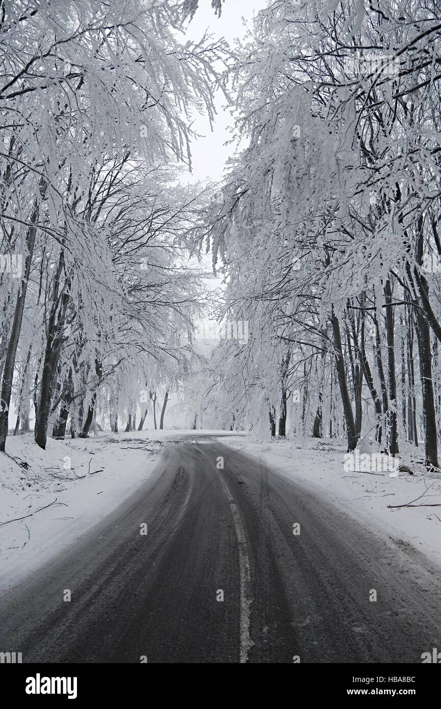 Difficult conditions on snowy hi-res stock photography and images - Alamy