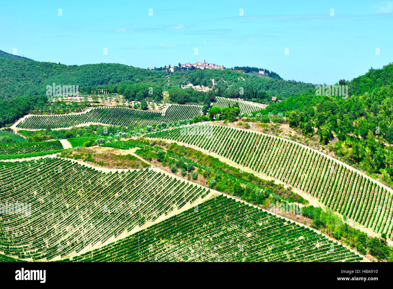 Farmhouse vineyards olive grove hi-res stock photography and images - Alamy