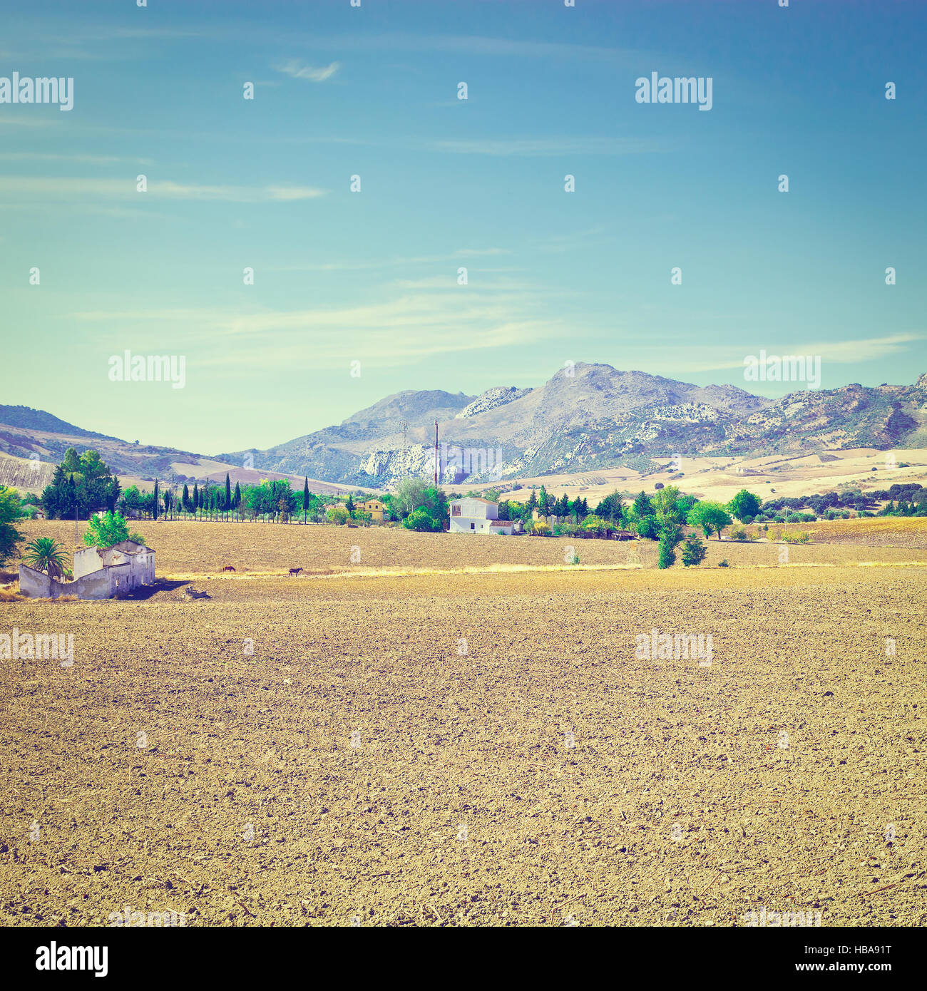 Fields o hi-res stock photography and images - Alamy
