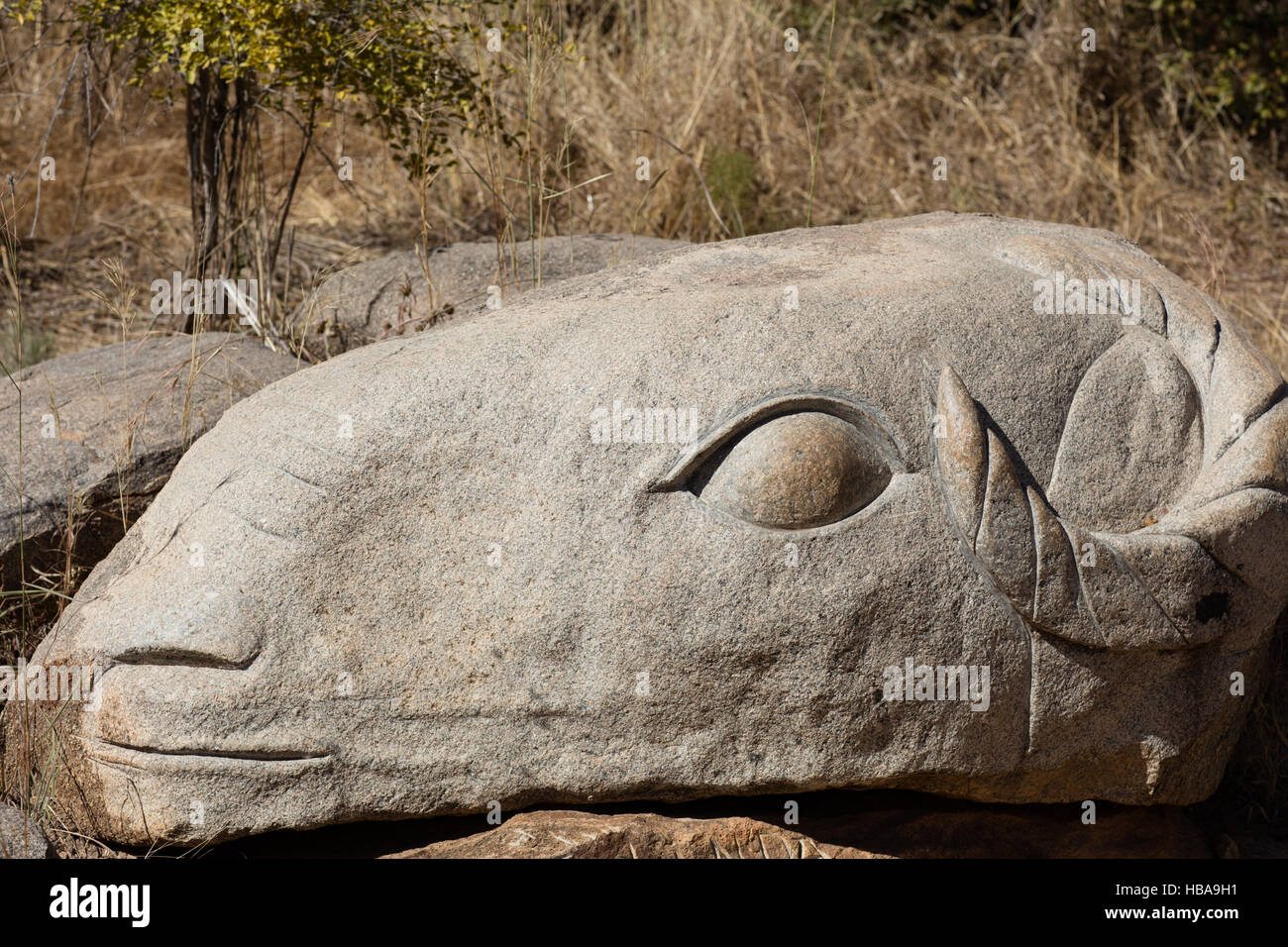 Ouagadougou city hi-res stock photography and images - Alamy