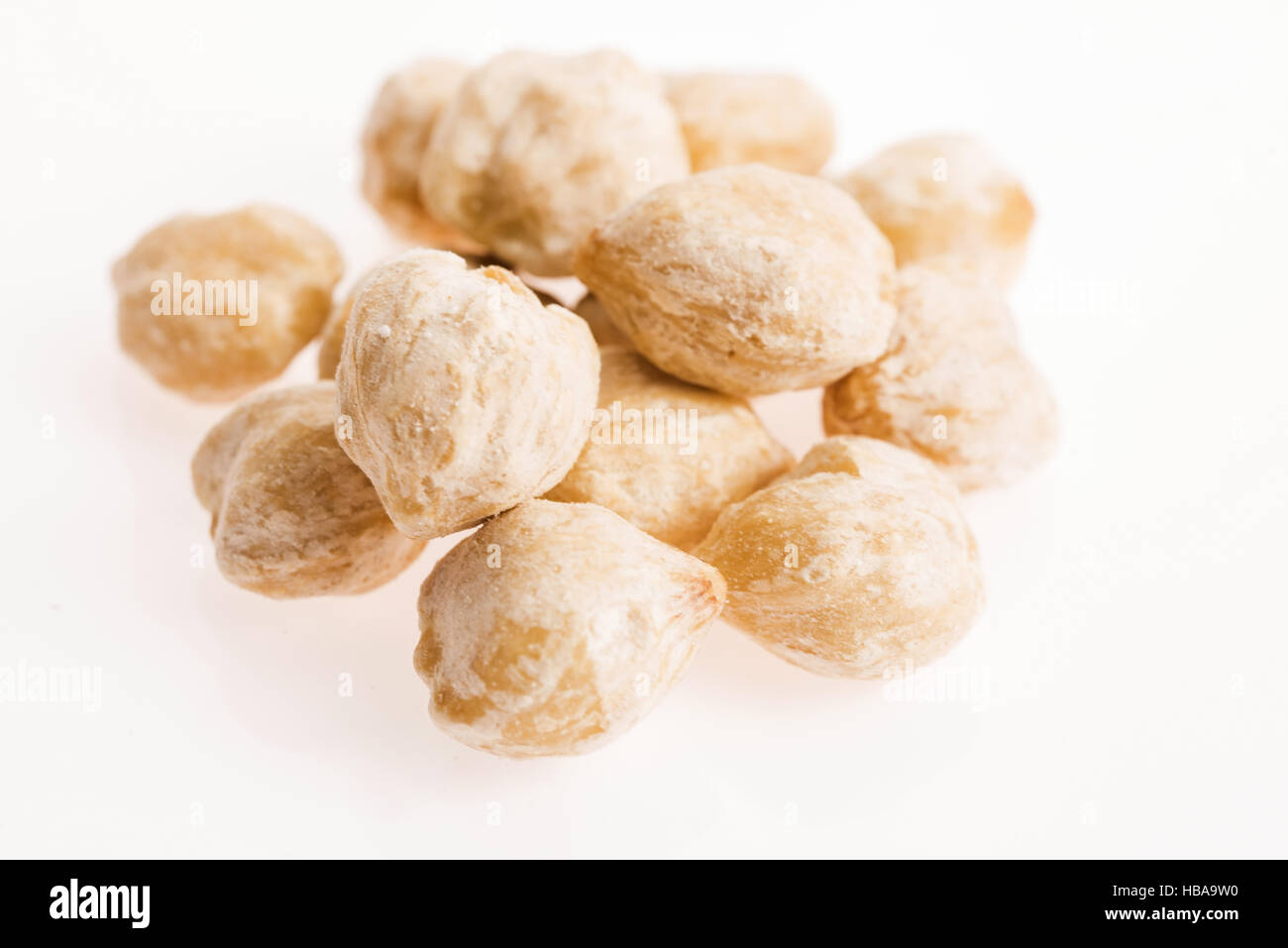 Candlenut or Kukui is a spice especially used in indonesian cooking ...
