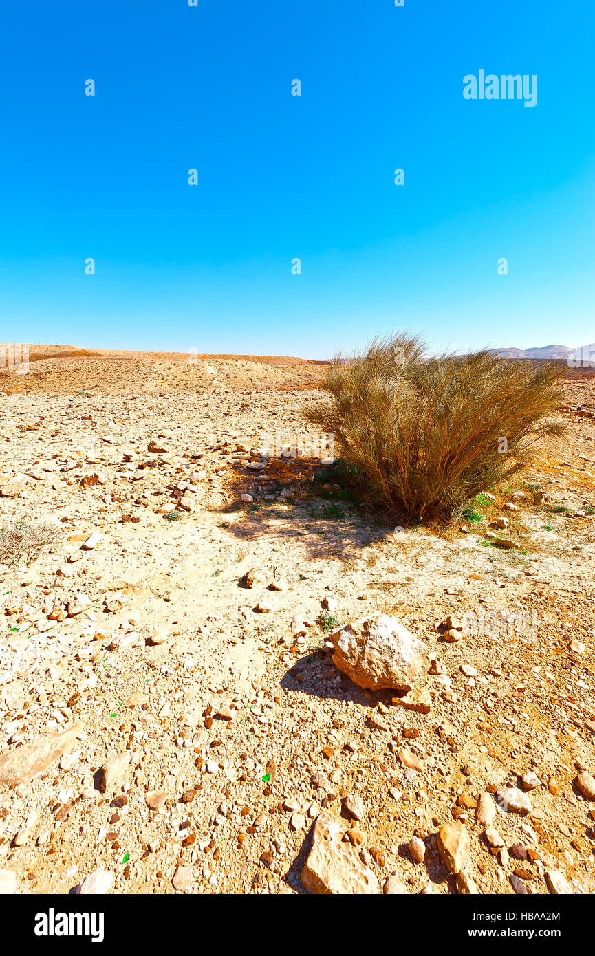 Palestine desert hi-res stock photography and images - Alamy