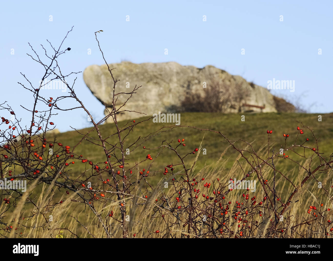 Place of cult hi-res stock photography and images - Alamy