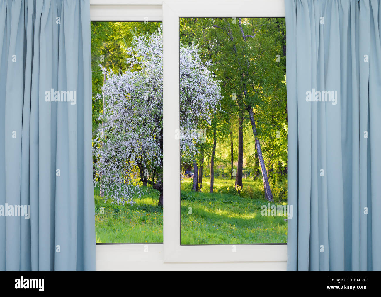 view window flowering tree Stock Photo - Alamy