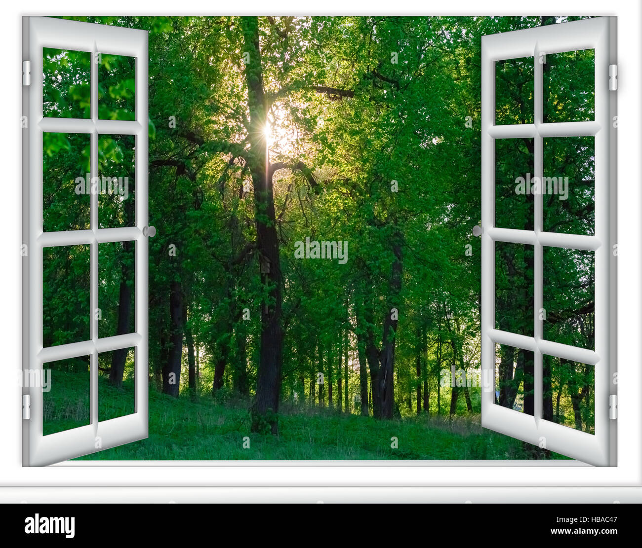 sunrise view from the window Stock Photo - Alamy