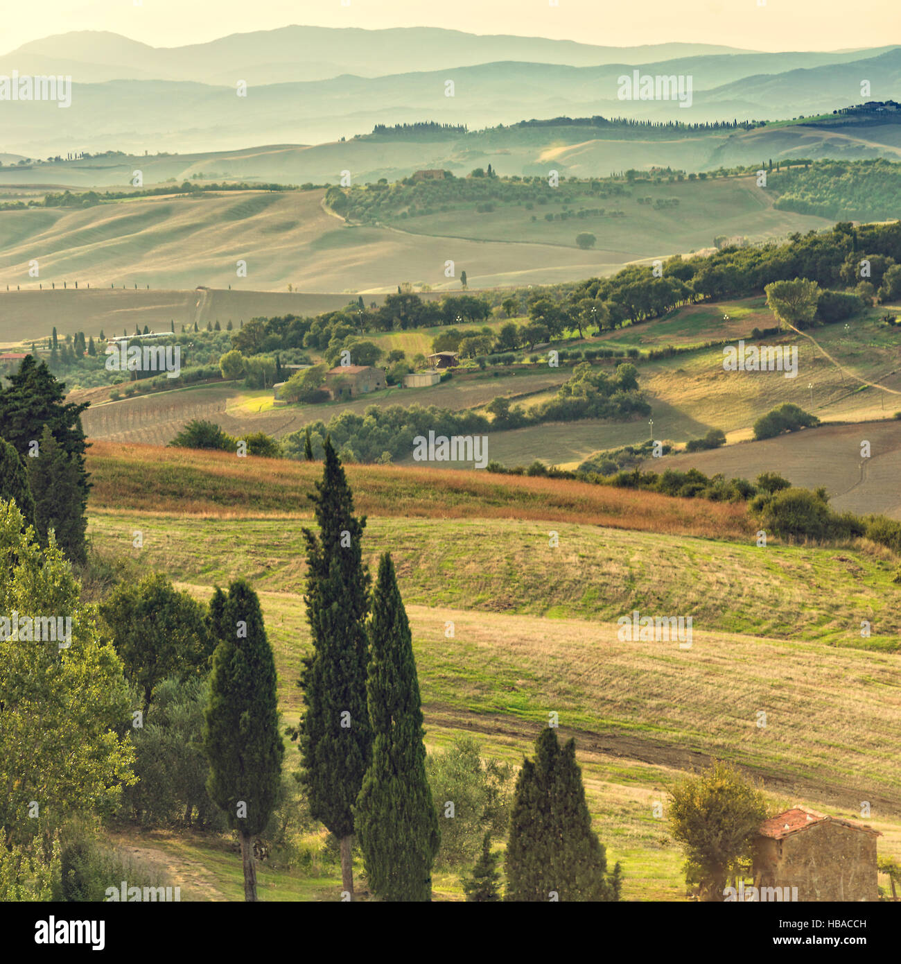 Fields in Tuscany Stock Photo - Alamy