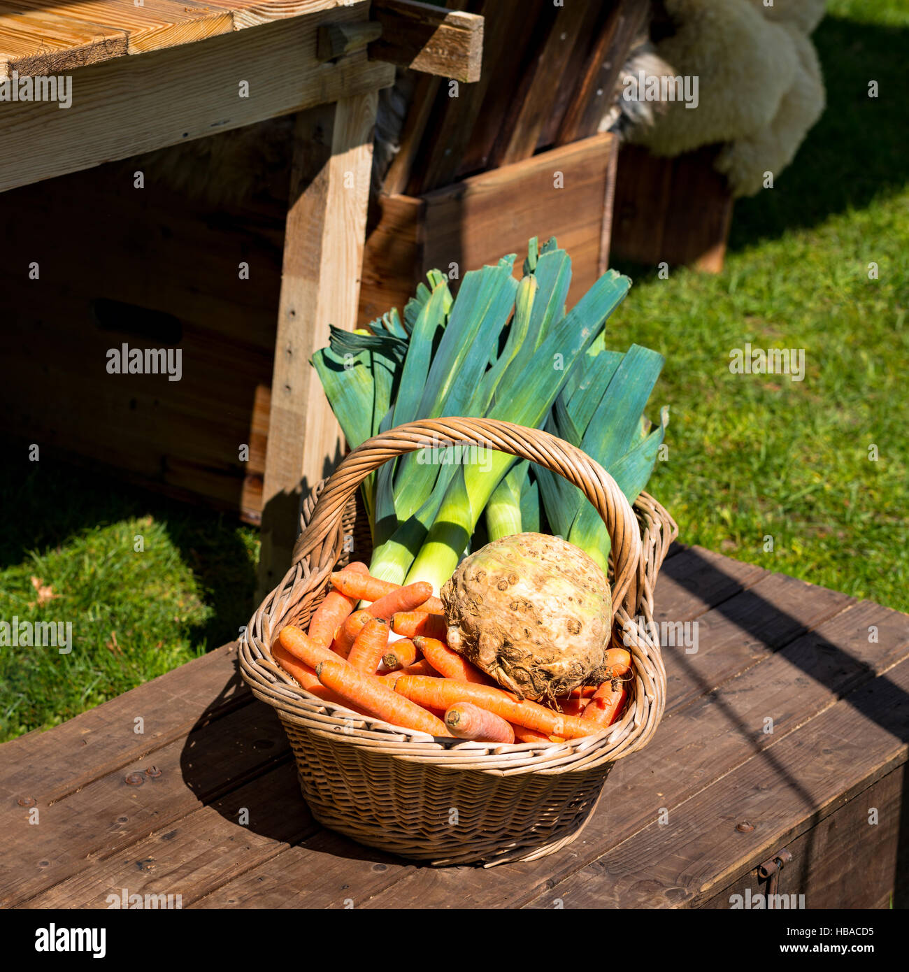 Kohl karotte hi-res stock photography and images - Alamy