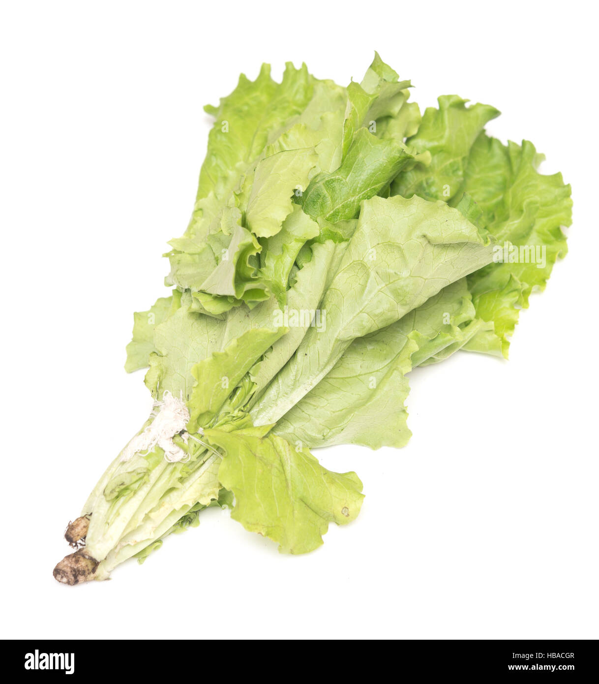 lettuce on white Stock Photo - Alamy