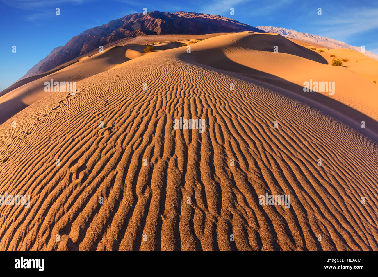 Flat desert hi-res stock photography and images - Alamy