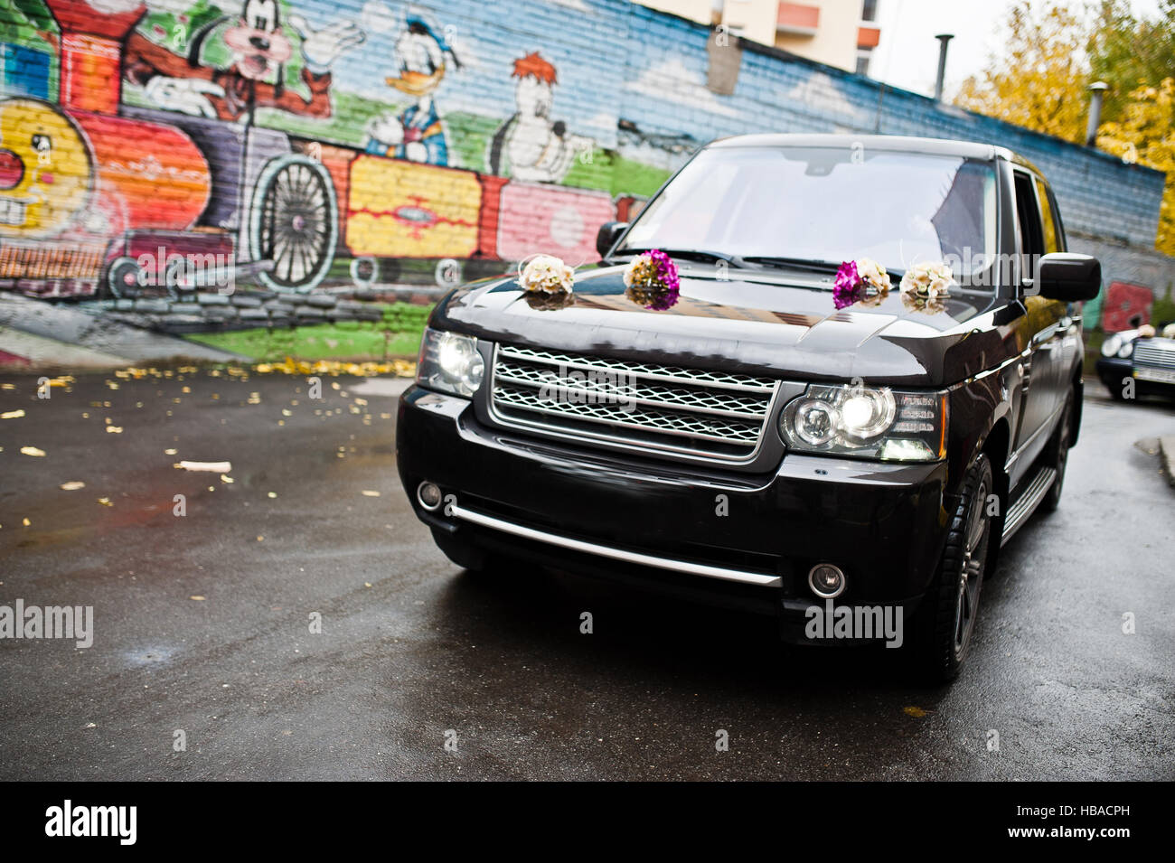 Elegant wedding procession of cars Stock Photo - Alamy