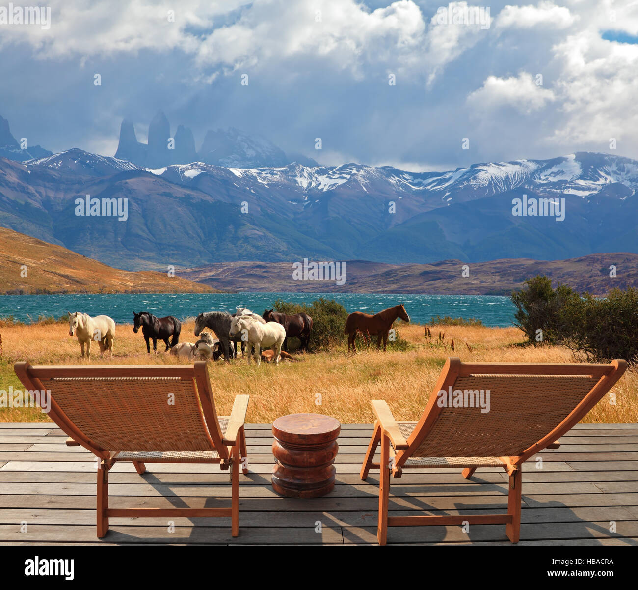 Two comfortable chairs hi-res stock photography and images - Alamy