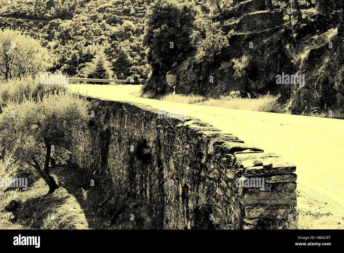 Retaining wall with tree hi-res stock photography and images - Alamy