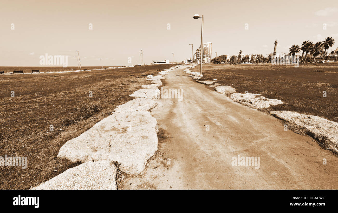 Office tower in tel aviv hi-res stock photography and images - Alamy