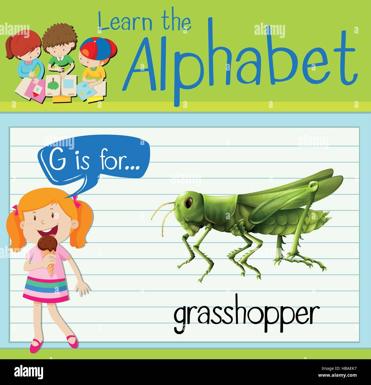 Letter g grasshopper hi-res stock photography and images - Alamy