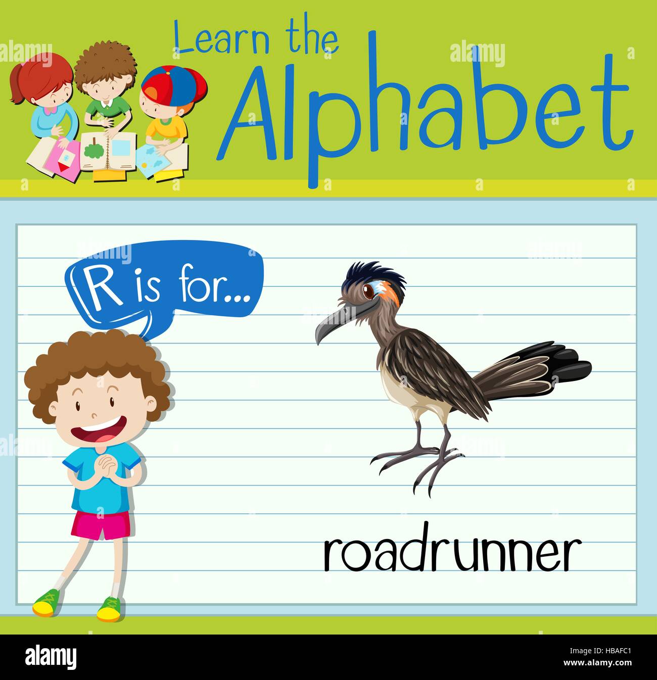 Flashcard letter R is for roadrunner illustration Stock Vector Image ...