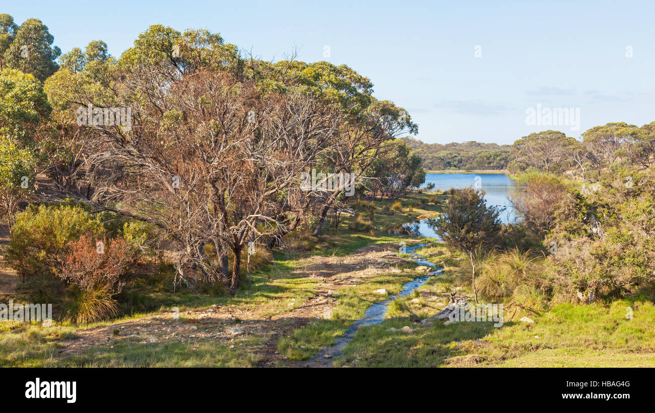 Rural landscape outside Cape Le Grand National Park, near the town of ...