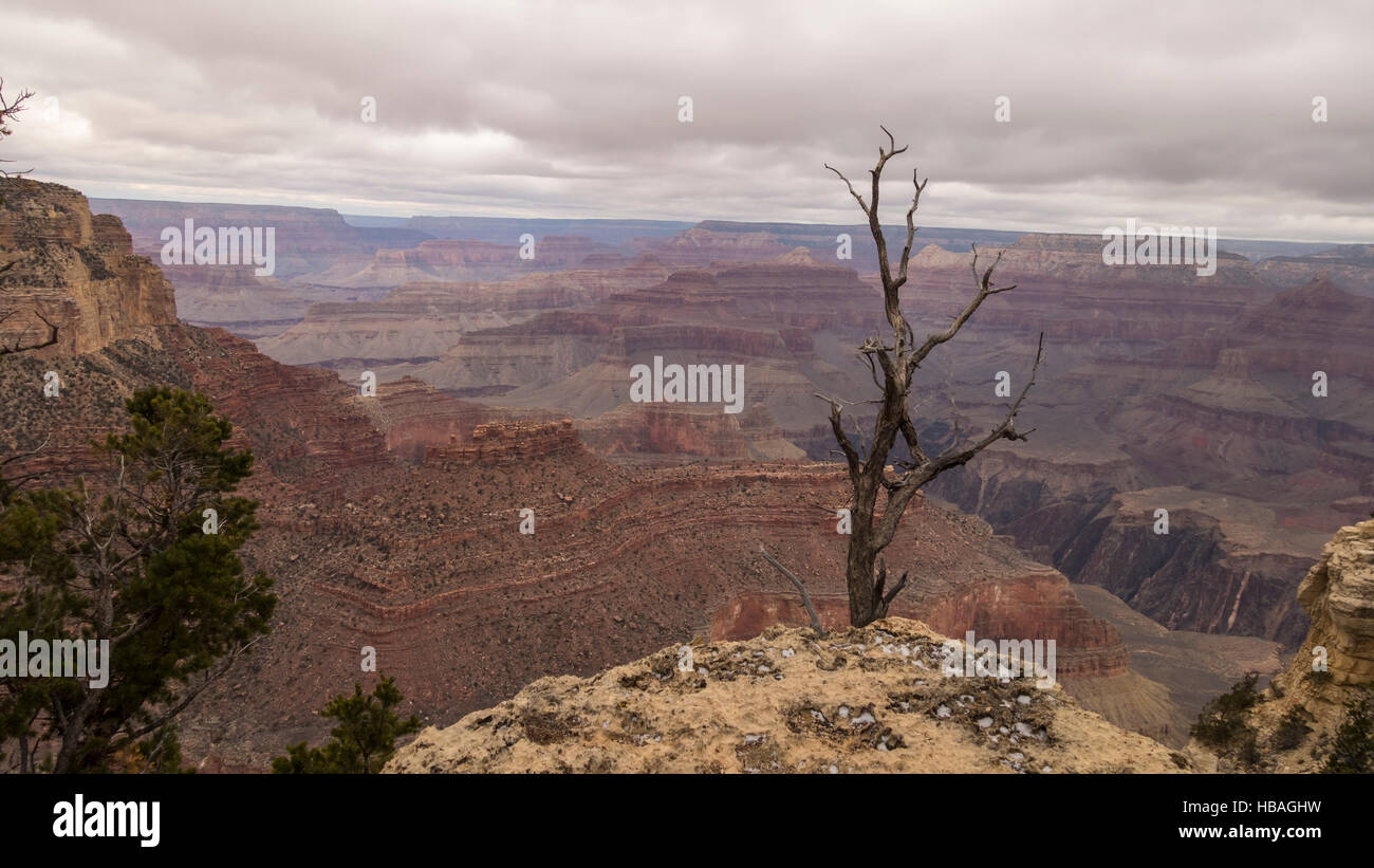The Grand Canyon National Park in Arizona Stock Photo - Alamy