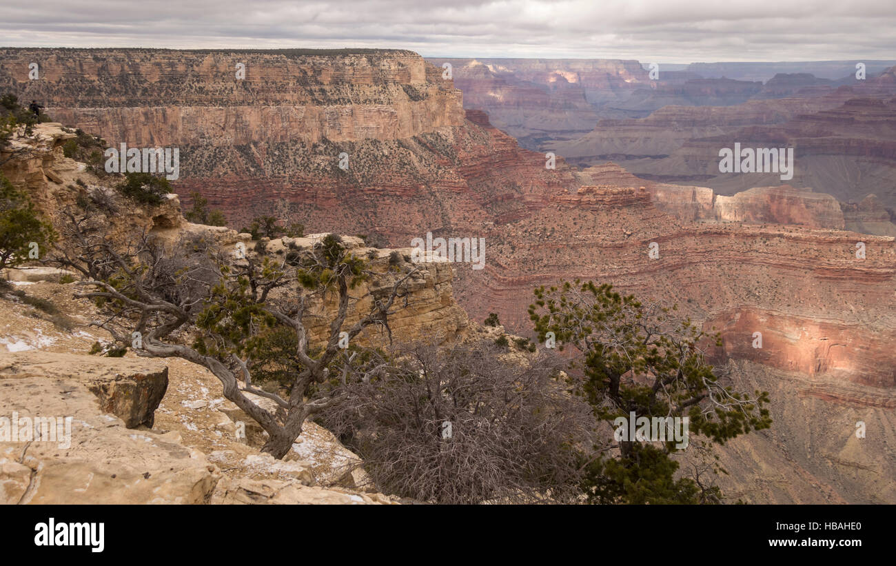 The Grand Canyon National Park in Arizona Stock Photo - Alamy