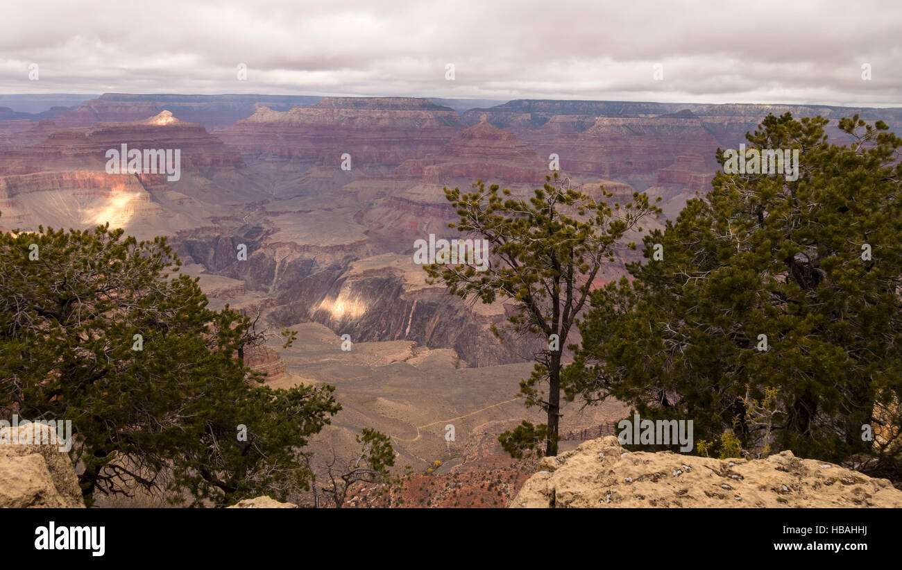The Grand Canyon National Park in Arizona Stock Photo - Alamy