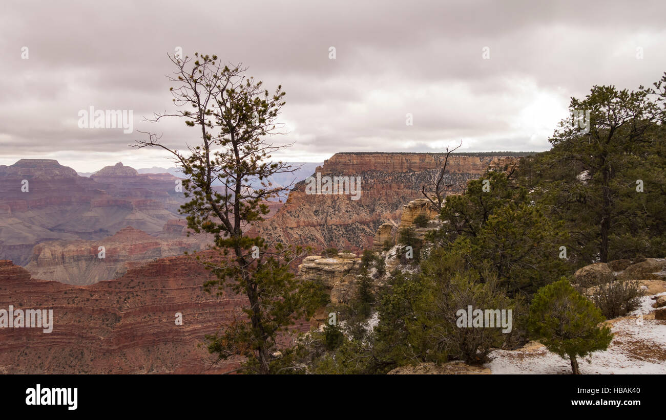 The Grand Canyon National Park in Arizona Stock Photo - Alamy