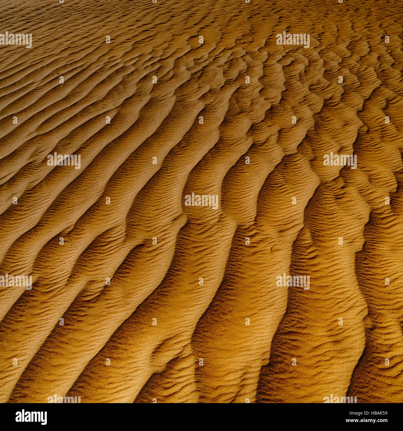 abstract texture line wave in oman the old desert and the empty quarter ...