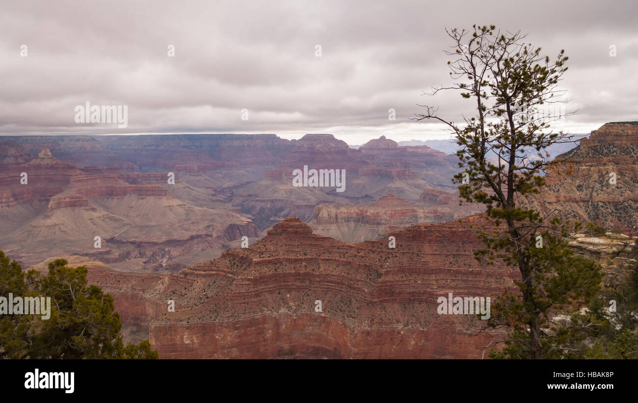 The Grand Canyon National Park in Arizona Stock Photo - Alamy