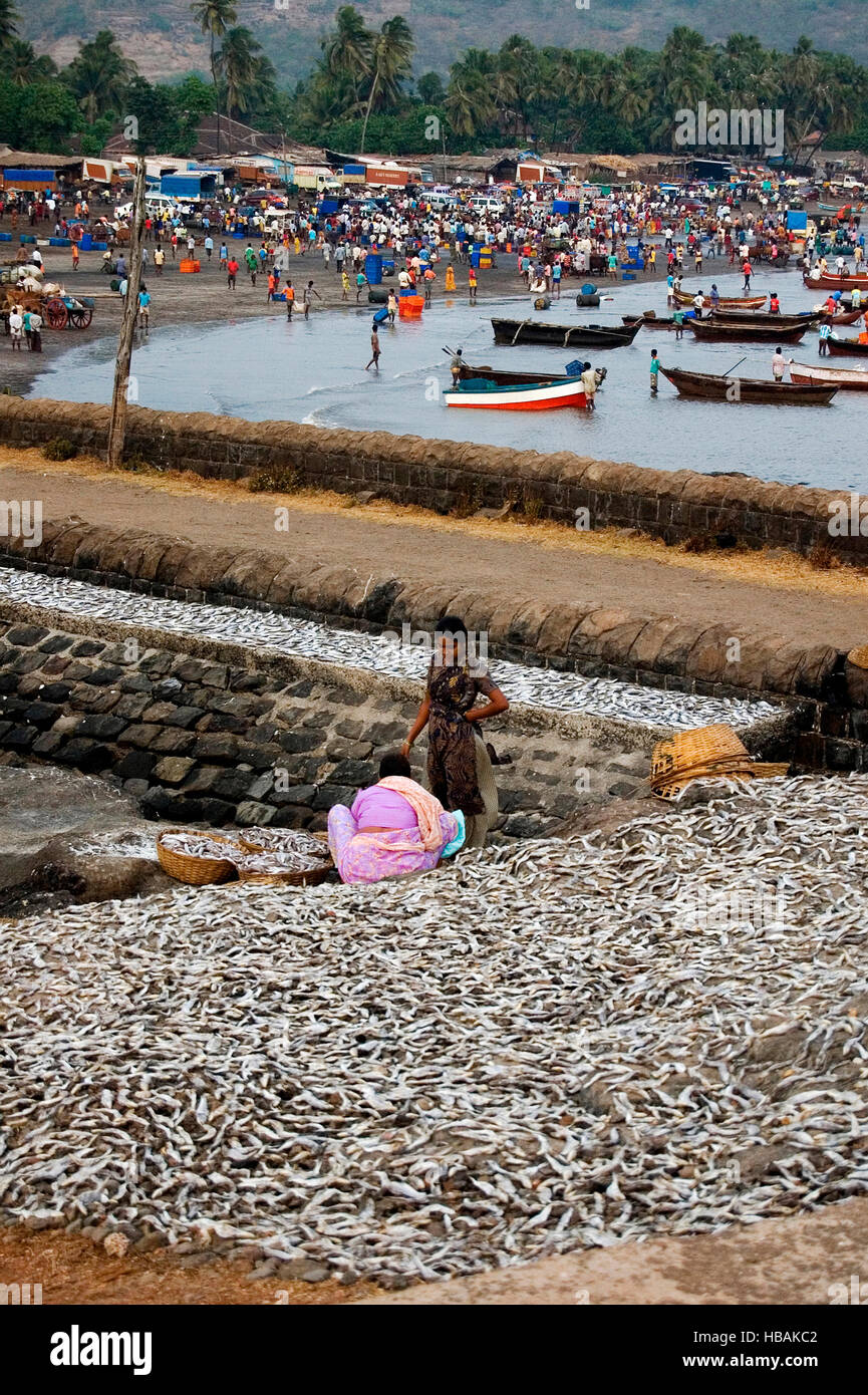 Shrivardhan beach hi-res stock photography and images - Alamy