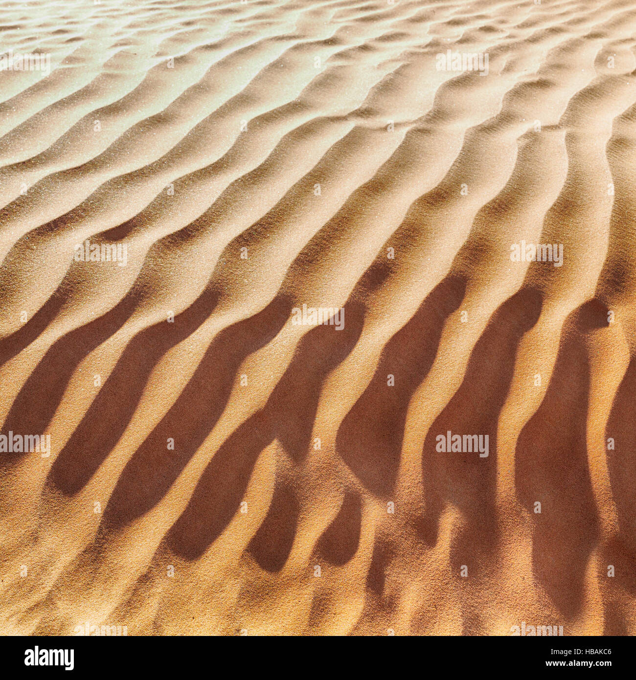 abstract texture line wave in oman the old desert and the empty quarter ...