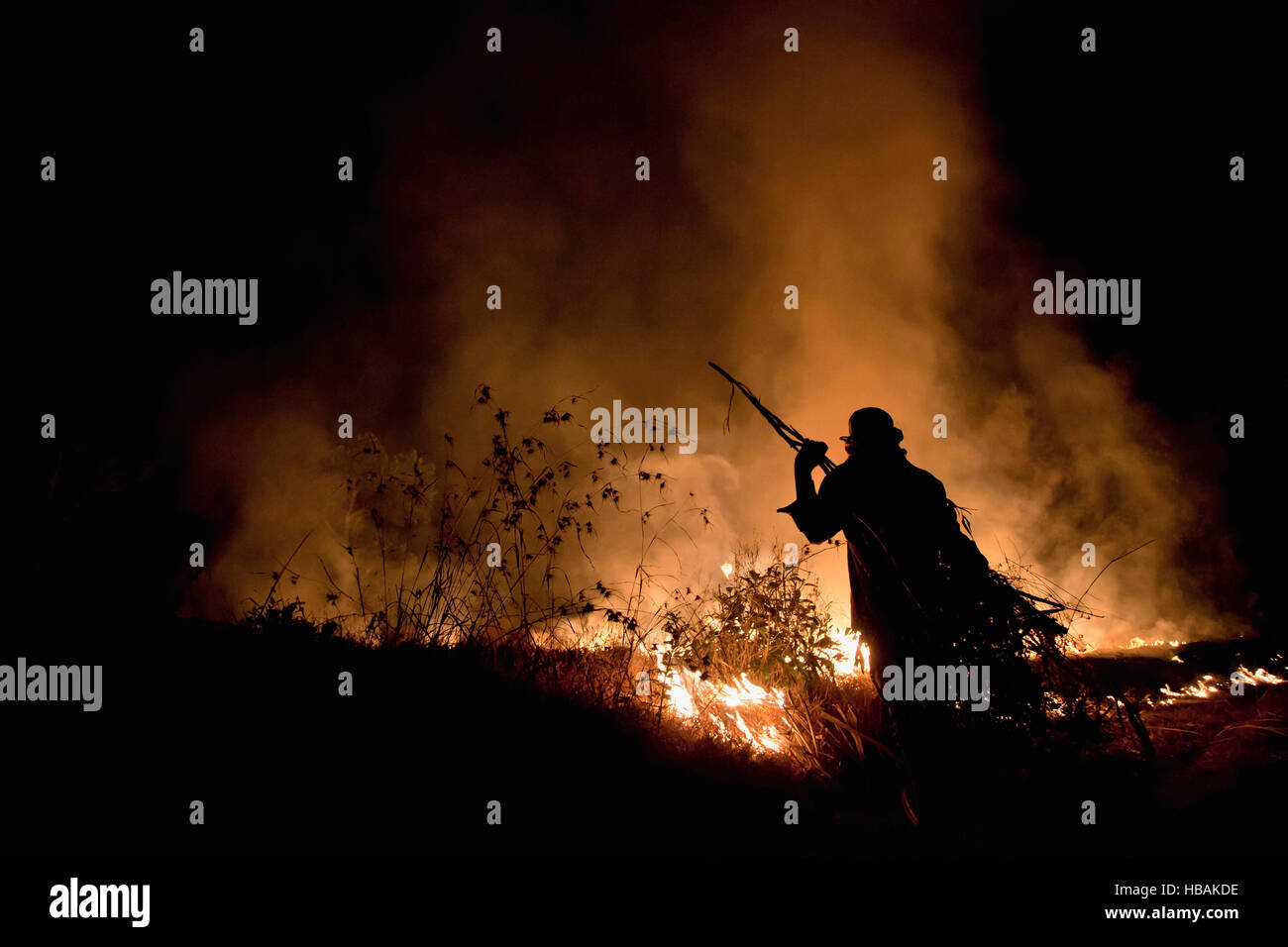 Forest fire in summer at night Stock Photo - Alamy
