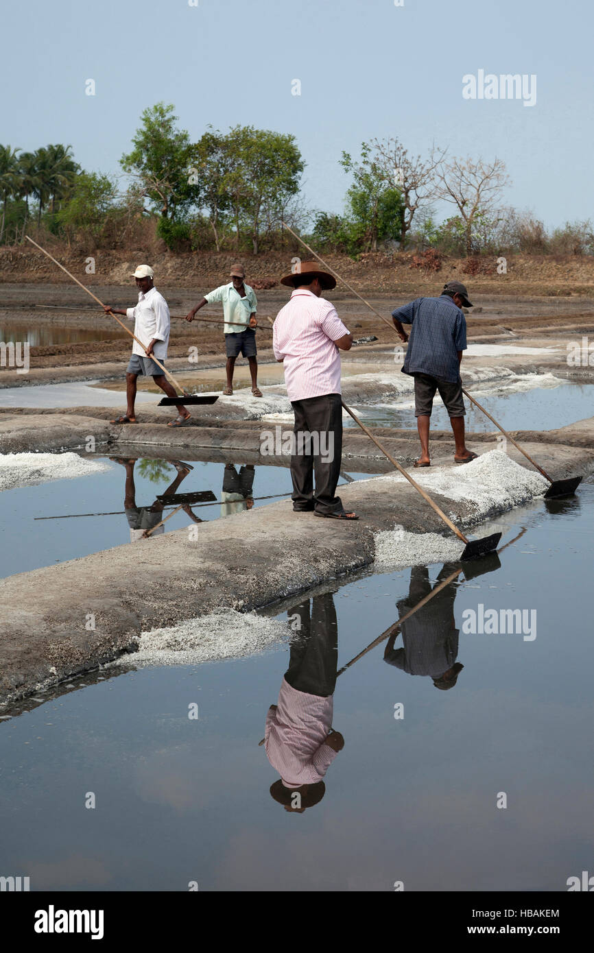 Salt extraction in a field Stock Photo - Alamy