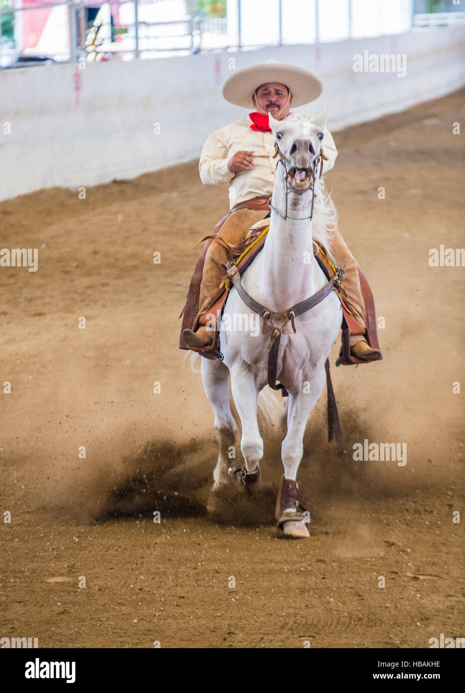Charro participates at the 23rd International Mariachi & Charros ...