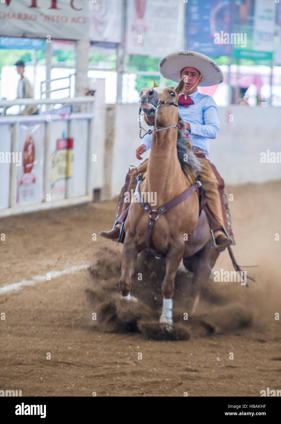 Charro cowboy hi-res stock photography and images - Alamy