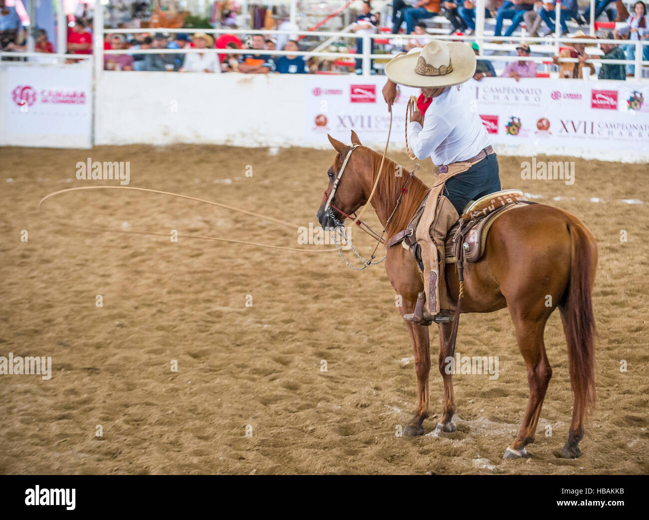 Charro participates at the 23rd International Mariachi & Charros ...