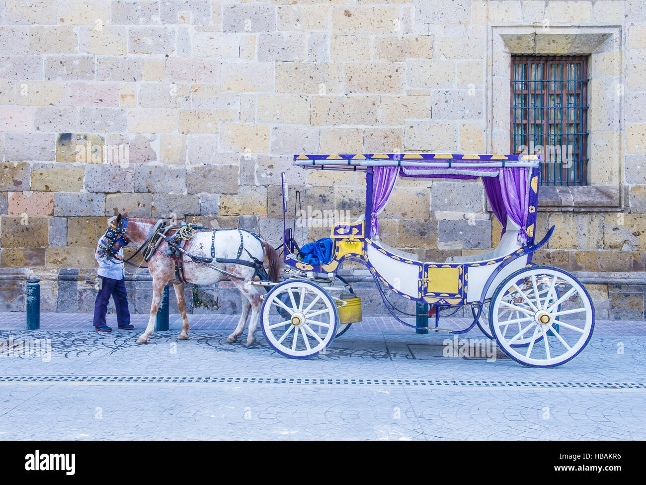 GUADALAJARA , MEXICO - AUG 29 : Horse drawn wagon in Guadalajara ...