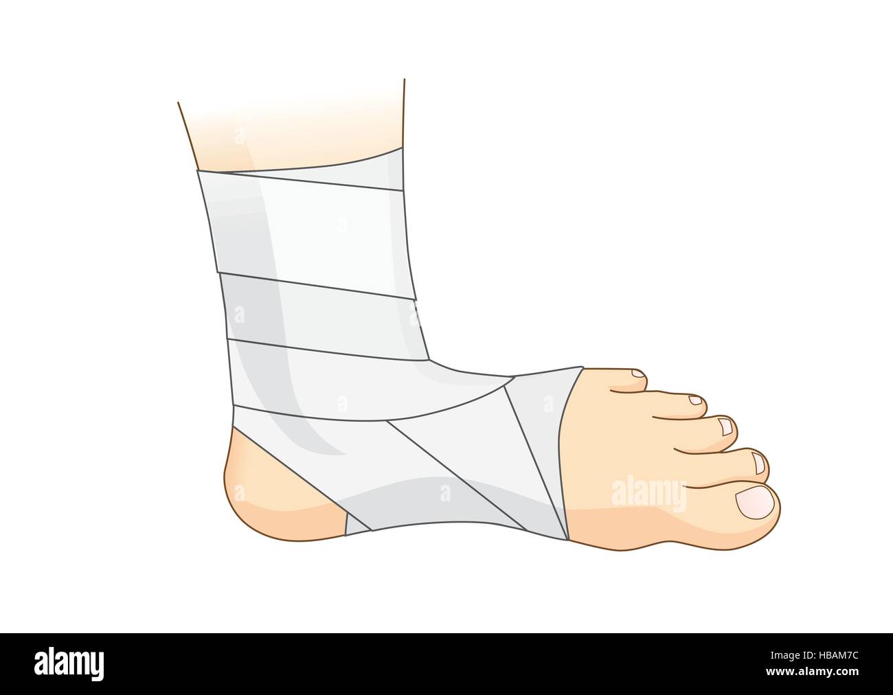 Ankle Clip Art