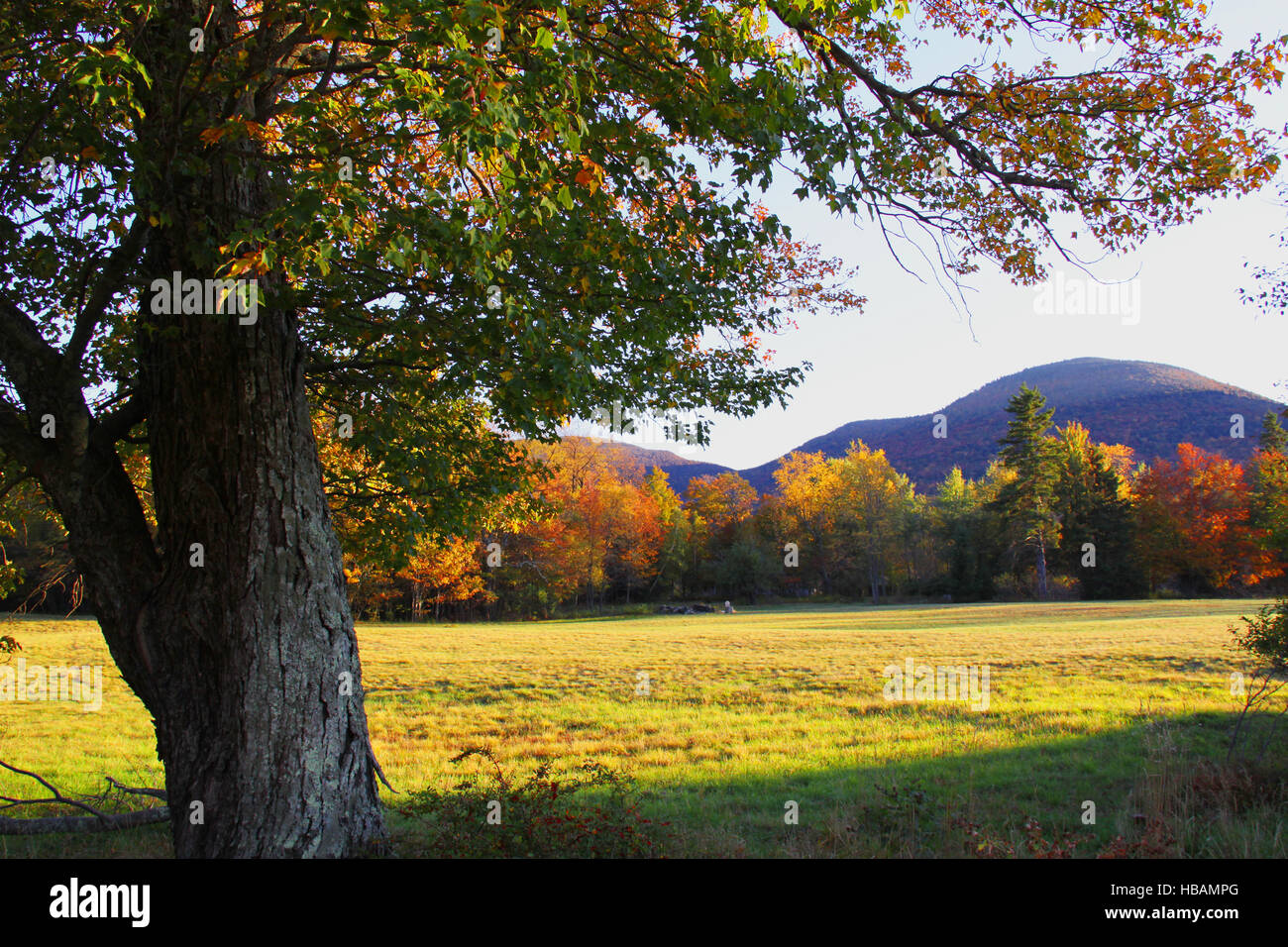 Autumn landscape, Catskills, NY Stock Photo - Alamy