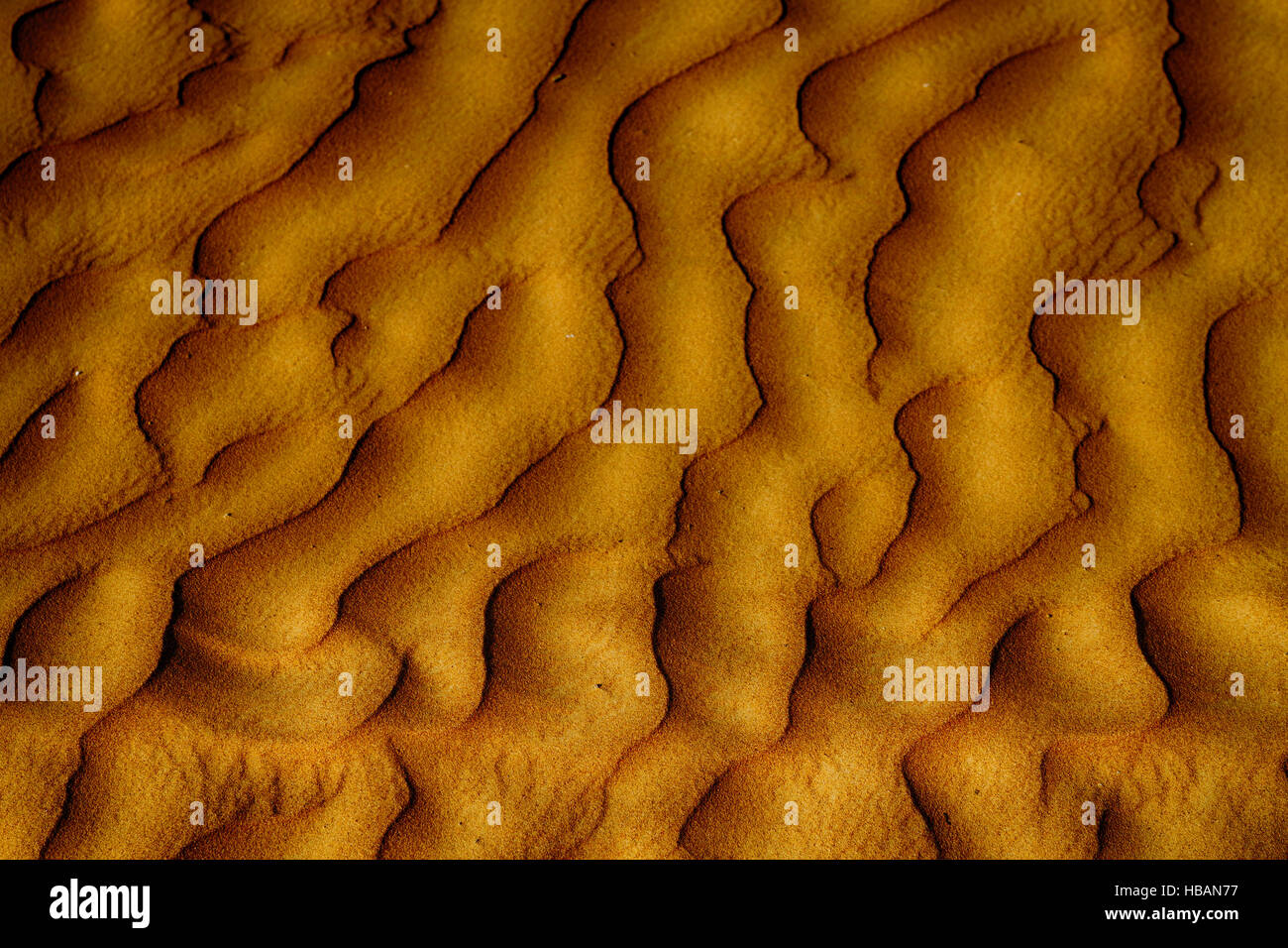 abstract texture line wave in oman the old desert and the empty quarter ...