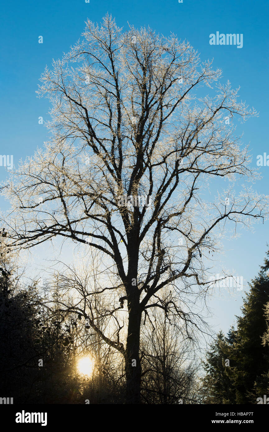 Scottish borders silhouette hi-res stock photography and images - Alamy