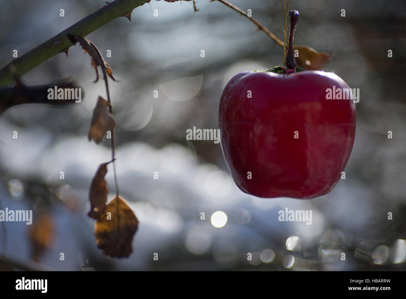 Apple and decoration hi-res stock photography and images - Alamy