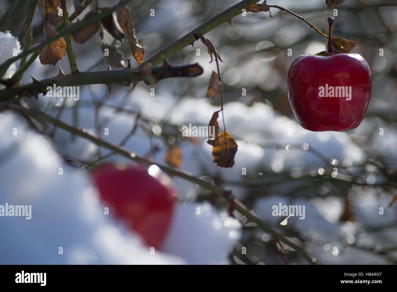 Red christmas bauble blurred hi-res stock photography and images - Alamy