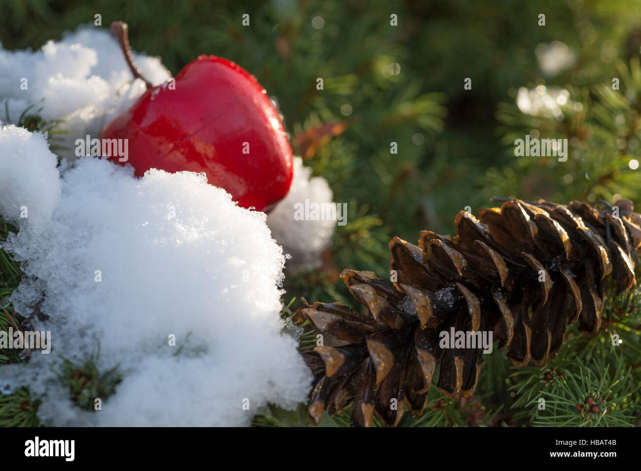 Decorative apple tree hi-res stock photography and images - Alamy