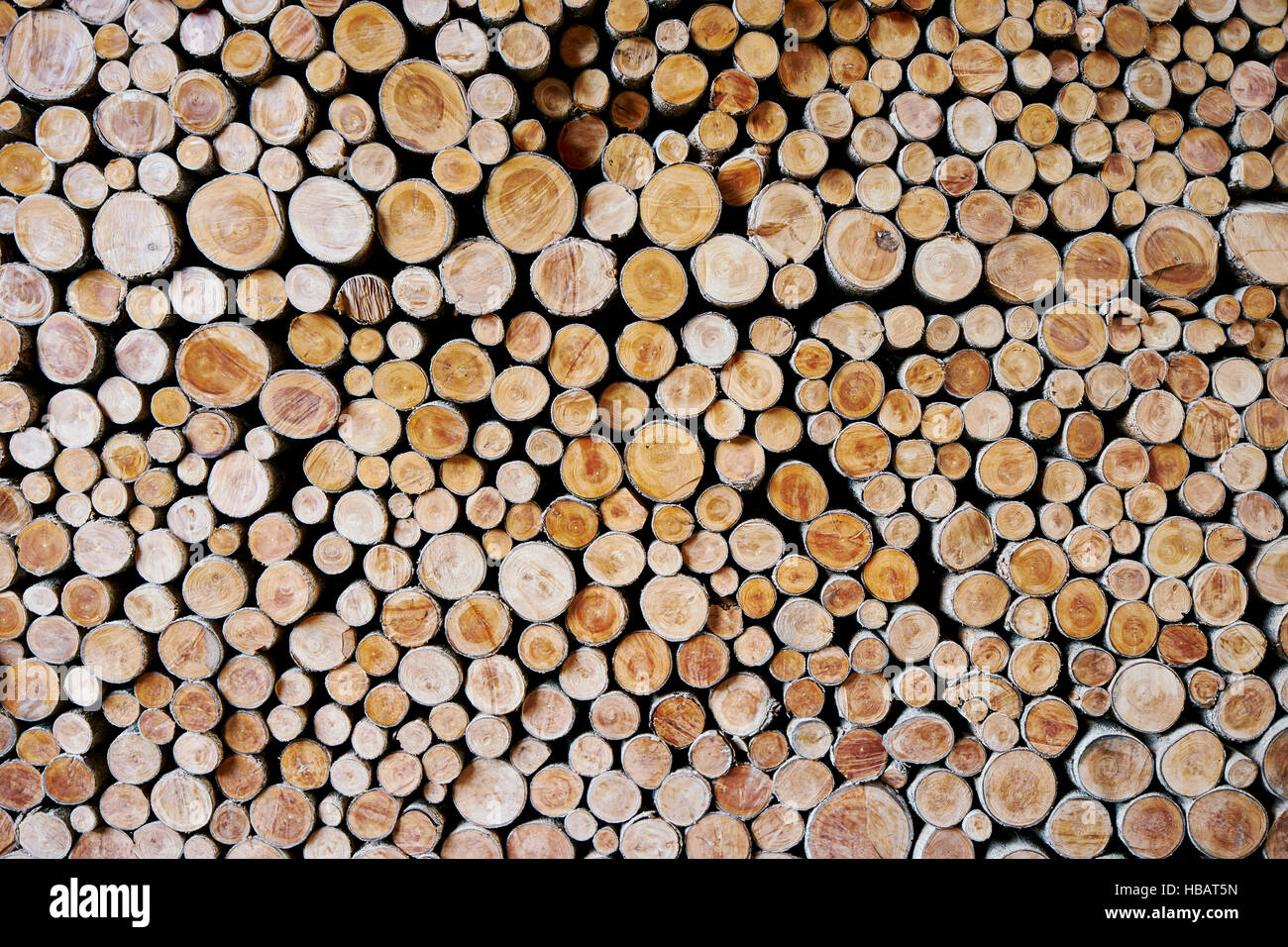 Large stack of logs Stock Photo - Alamy